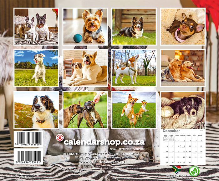 Dogs & Puppies A4 Wall Calendar 2026 | Calendar Shop